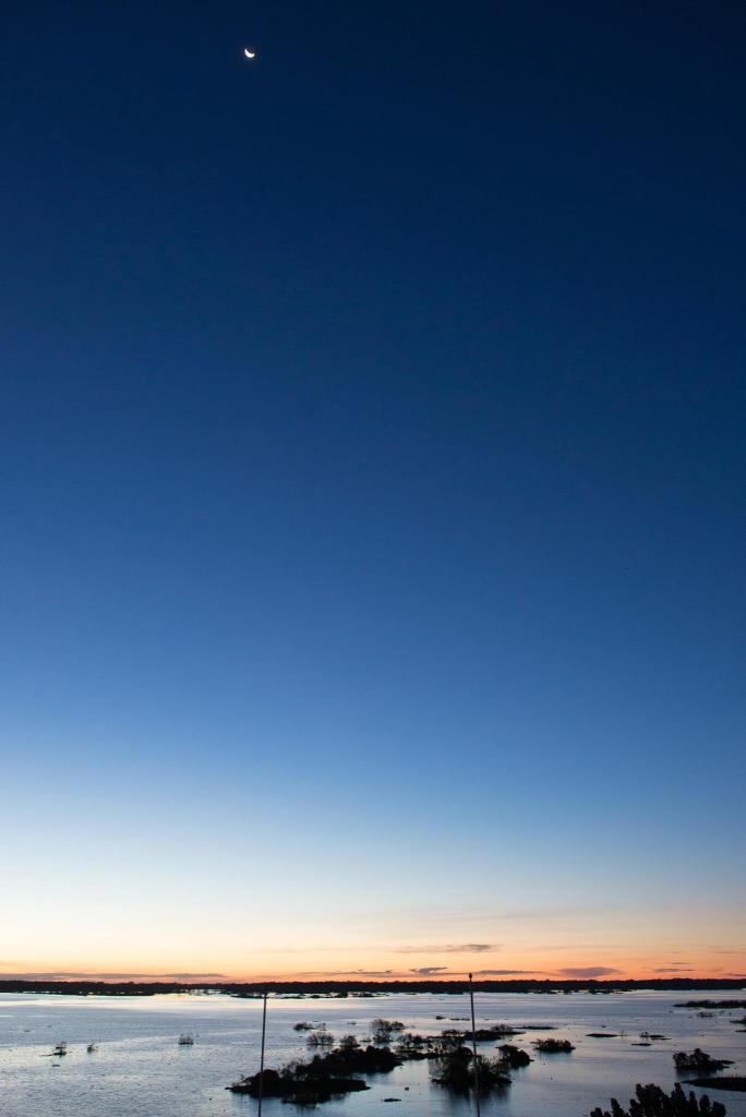 Dawn on the Amazon – Emily Jacobi