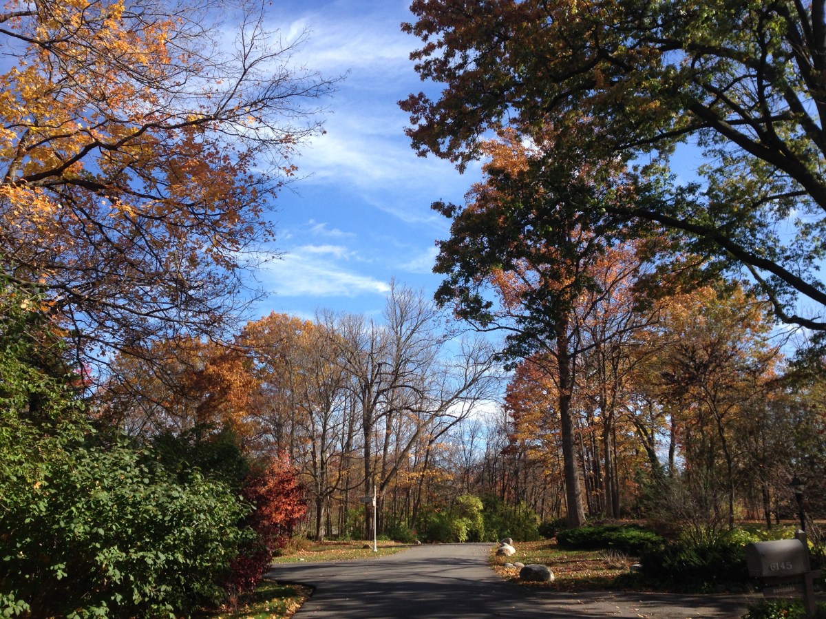 On Thanksgiving, #BlackLivesMatter, and what it means to be an ...